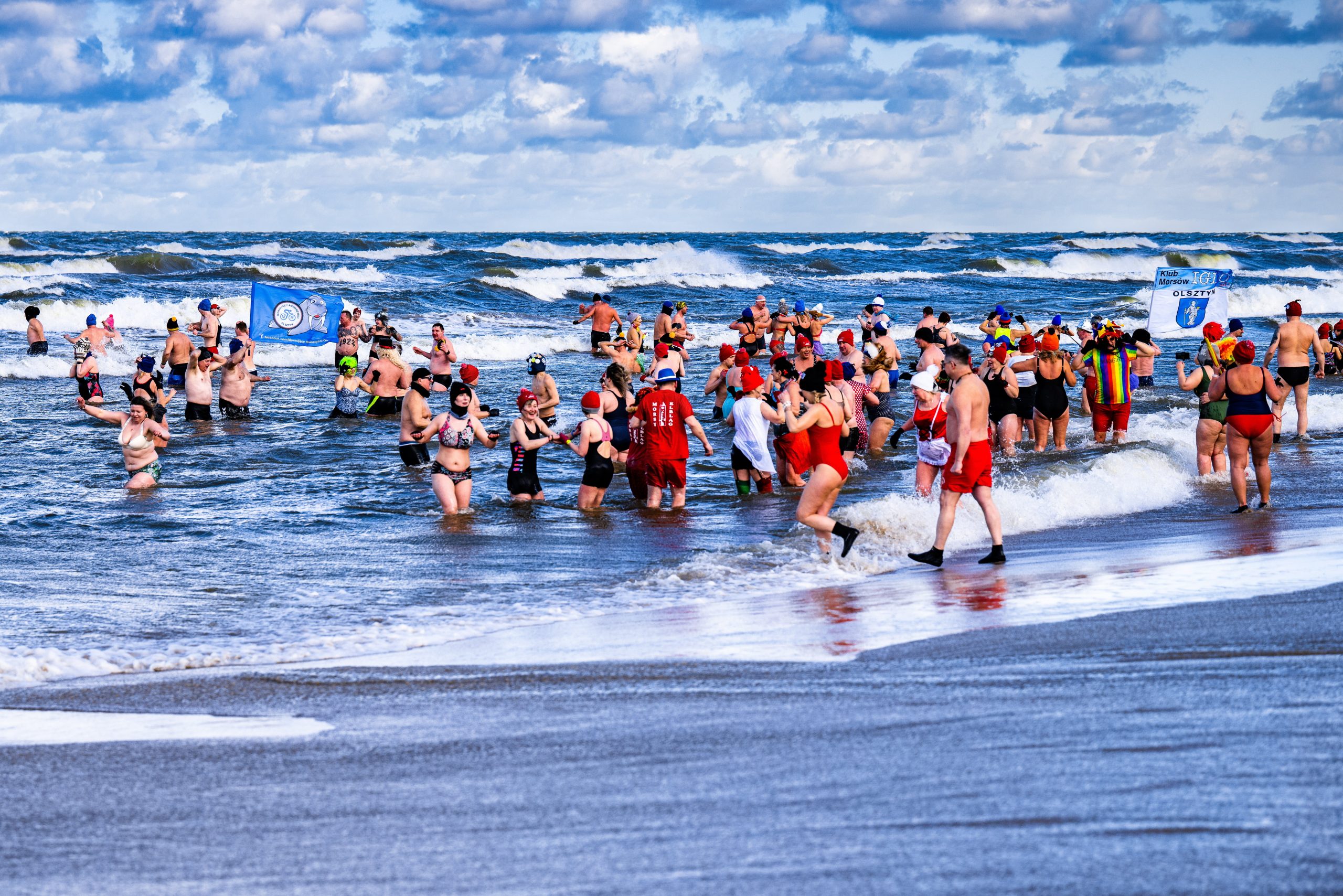 Elbląskie morsy świętują jubileusz kąpielą w morzu - Info&Tips